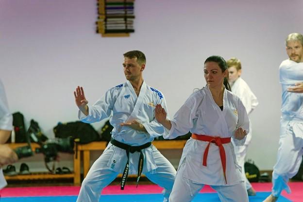 Traditional Forms, Differences, and Styles of Karate