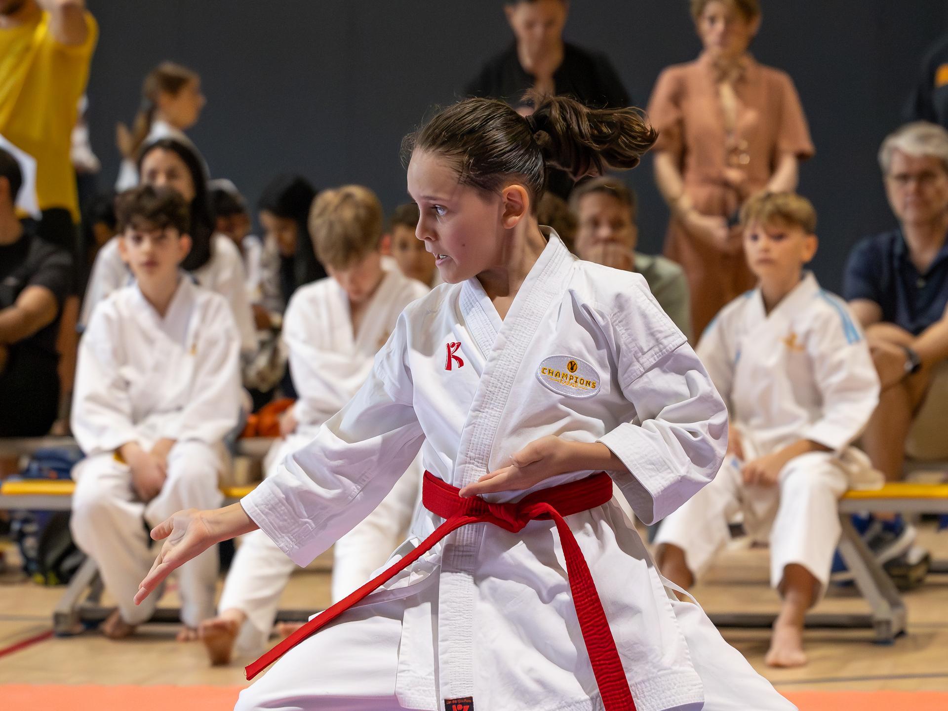 Basics of Karate: Beginner Guide to Basic Karate Techniques and Moves