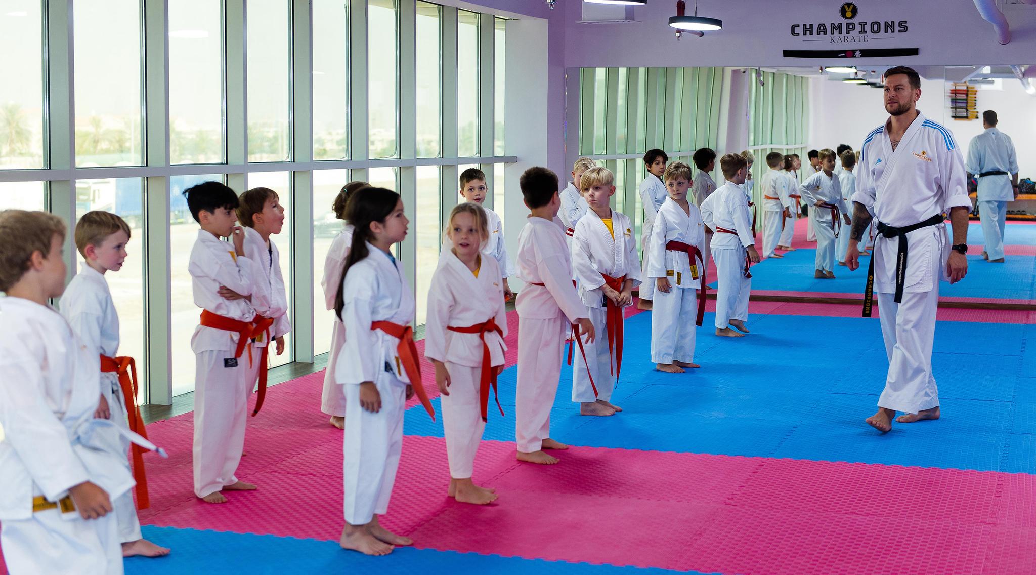 Basics of Karate: Beginner Guide to Basic Karate Techniques and Moves