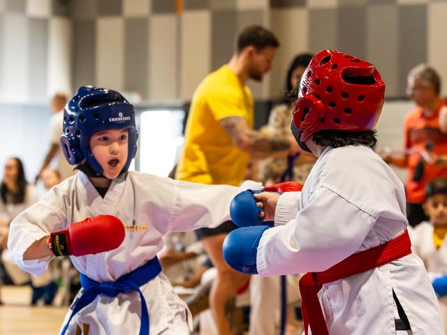 Karate Belt Ranking System: Your Guide to Understanding the Ranks from ...