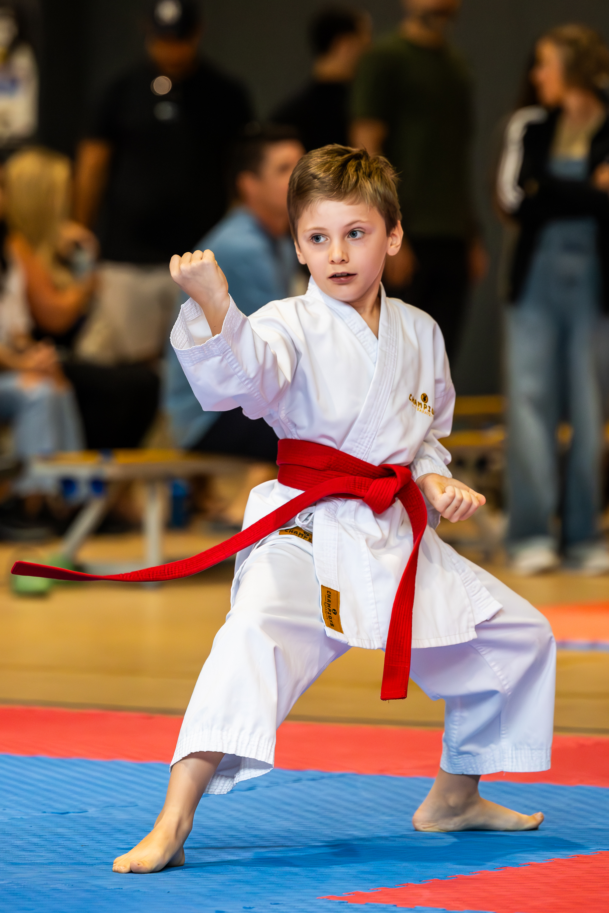 The Art of Kata: Exploring the Forms and Their Significance in Karate
